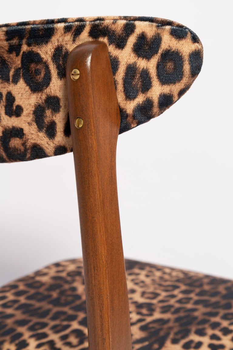 Six Mid-Century Leopard Velvet Chairs, Walnut Wood, Rajmund Halas ...