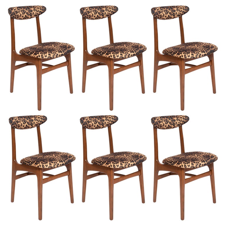 Six Mid-Century Leopard Velvet Chairs, Walnut Wood, Rajmund Halas ...
