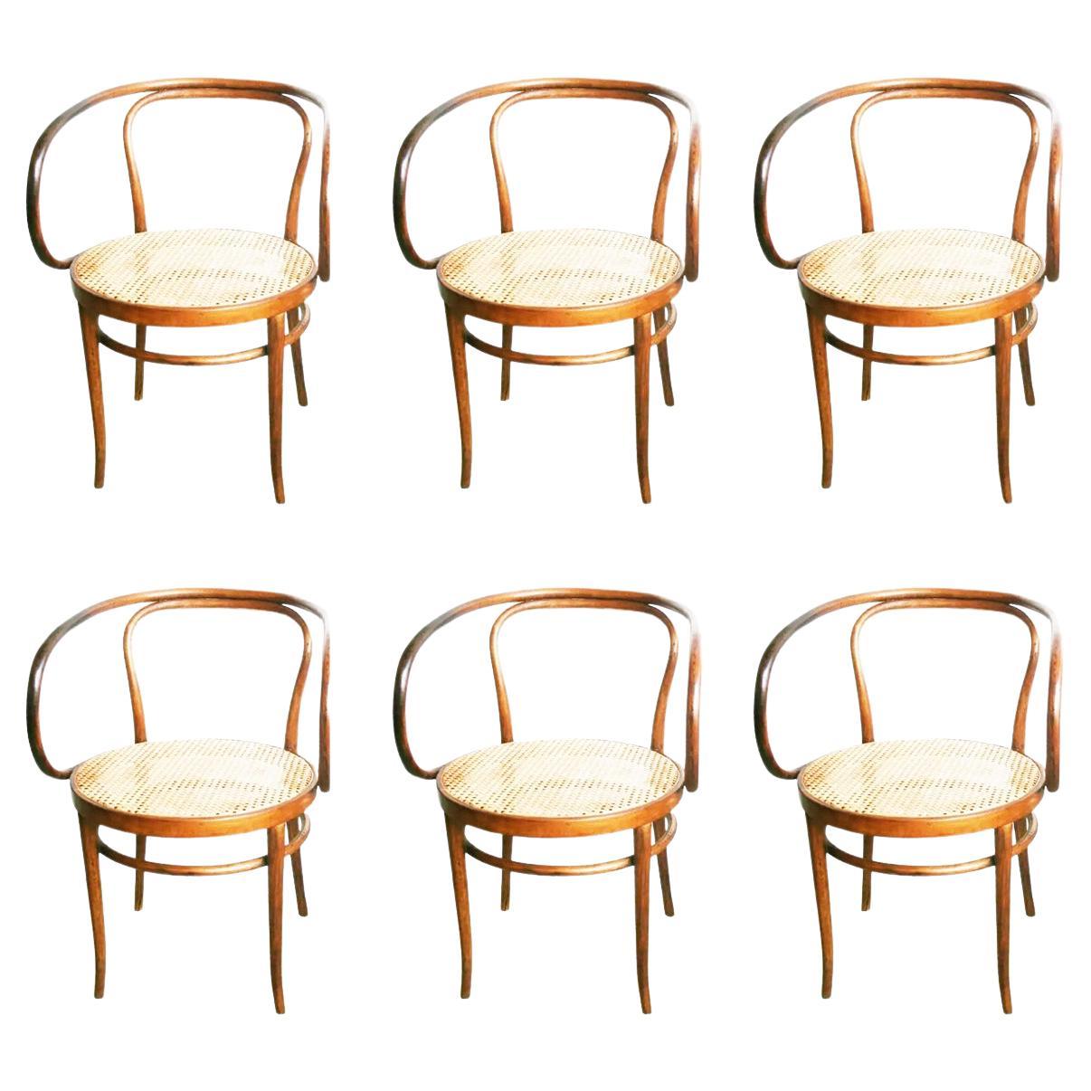 Cane and Bentwood Chairs after Thonet 209, 1940s at 1stDibs | cane ...