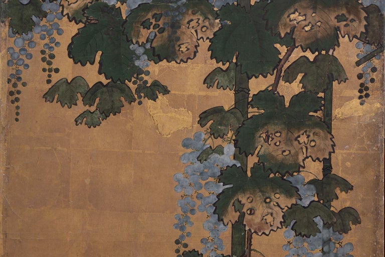 Six-Panel Japanese Folding Screen with Grapevine, Kanō School at 1stDibs