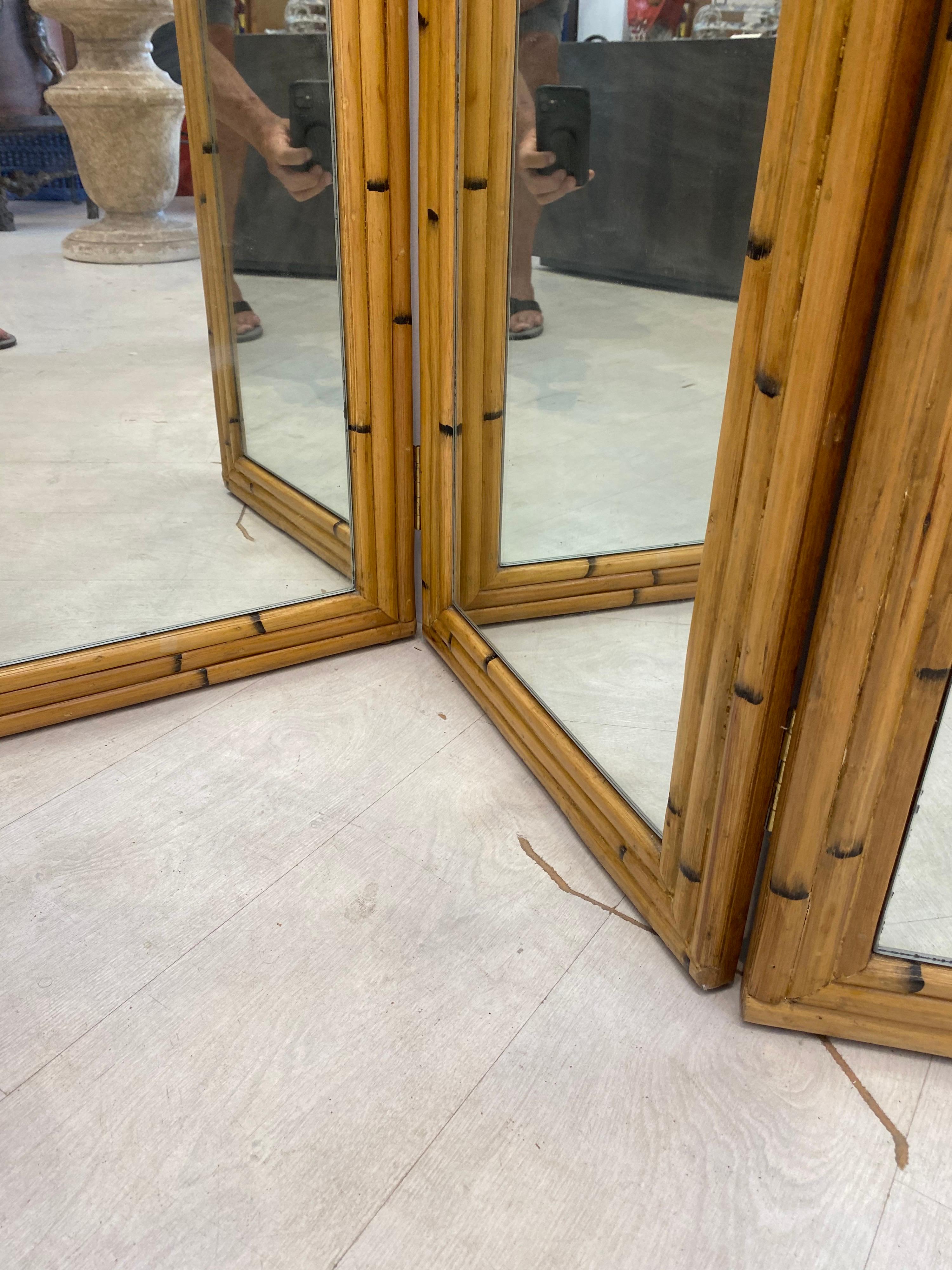 Six Panel Split Reed Rattan Mirrored Palm Tree Folding Screen Room ...