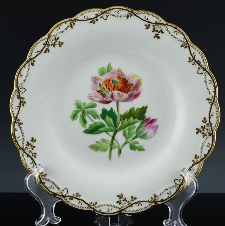 Sixteen Minton Porcelain Botanical Specimen Flower Plates, Minton ...