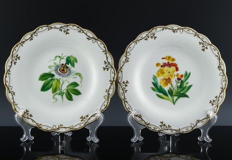 Sixteen Minton Porcelain Botanical Specimen Flower Plates, Minton ...