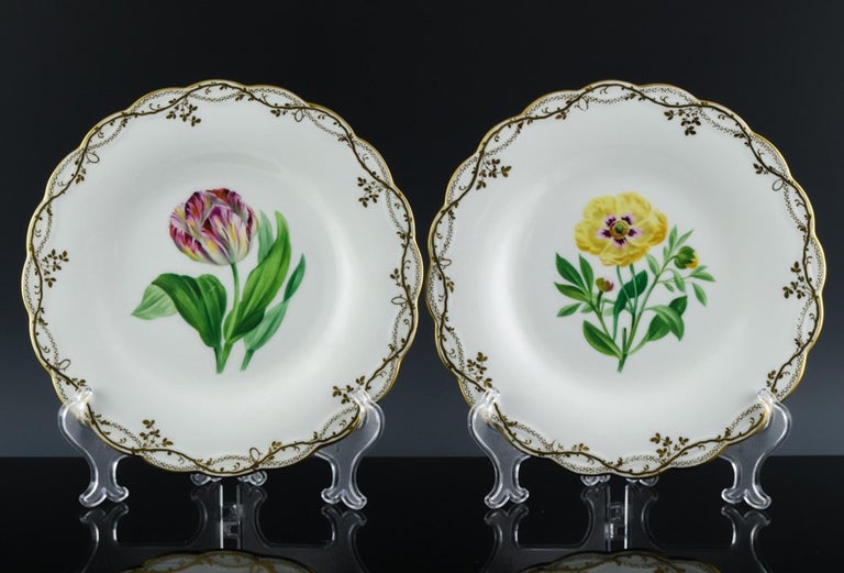 Sixteen Minton Porcelain Botanical Specimen Flower Plates, Minton ...