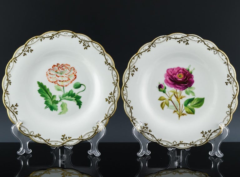 Sixteen Minton Porcelain Botanical Specimen Flower Plates, Minton ...