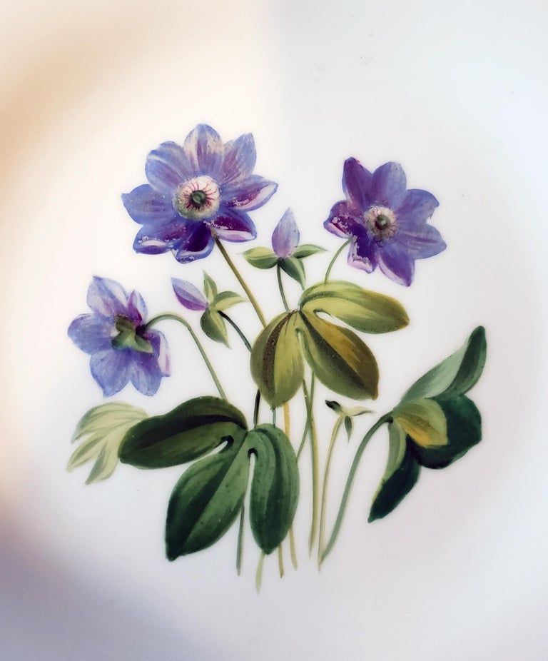 Sixteen Minton Porcelain Botanical Specimen Flower Plates, Minton ...