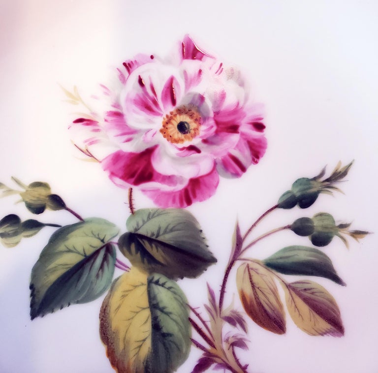 Sixteen Minton Porcelain Botanical Specimen Flower Plates, Minton ...