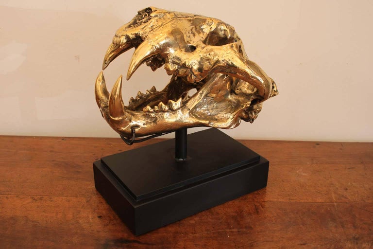Skull Head Vanity in the Style of Pasqua For Sale at 1stDibs