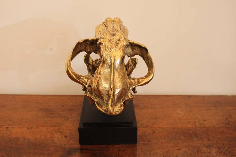 Skull Head Vanity in the Style of Pasqua For Sale at 1stDibs