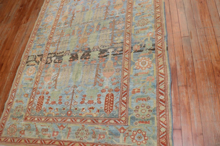Sky Blue Antique Malayer Weeping Willow Tree 20th Century Rug at 1stDibs