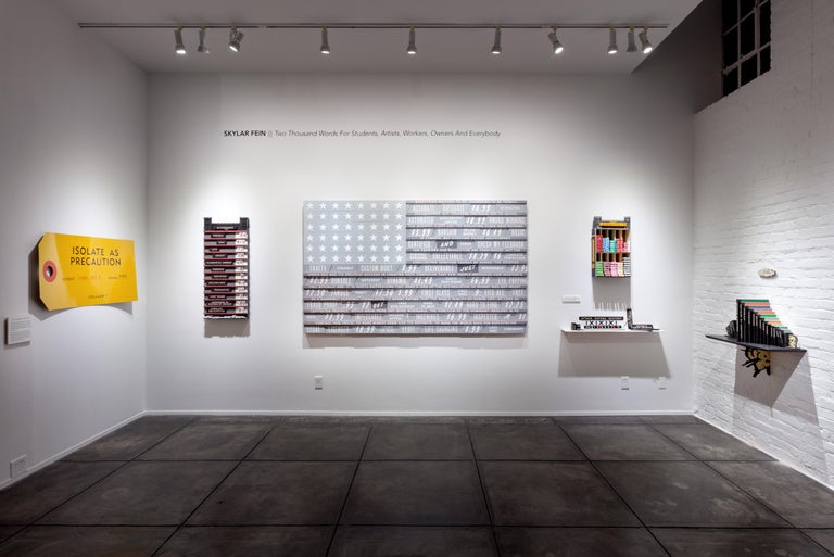 Skylar Fein - Art World Taxonomy (set of books) For Sale at 1stDibs