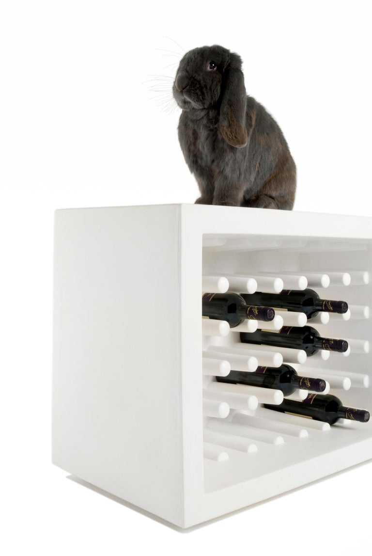 Slide Design Bachus Wine Rack in Powder Blue by Marcel Wanders For Sale ...