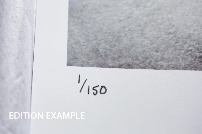 Slim Aarons - Slim Aarons Estate Print - Princess Ruspoli 1979 ...