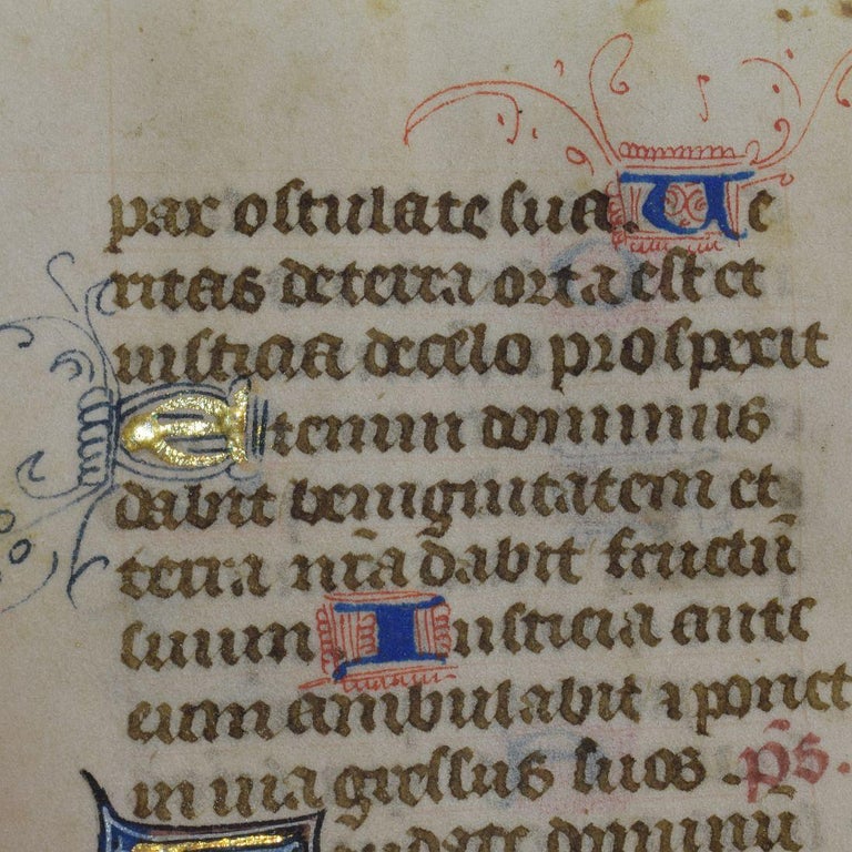 Small 15th Century French Illuminated Vellum Book Page, Handwriting For ...