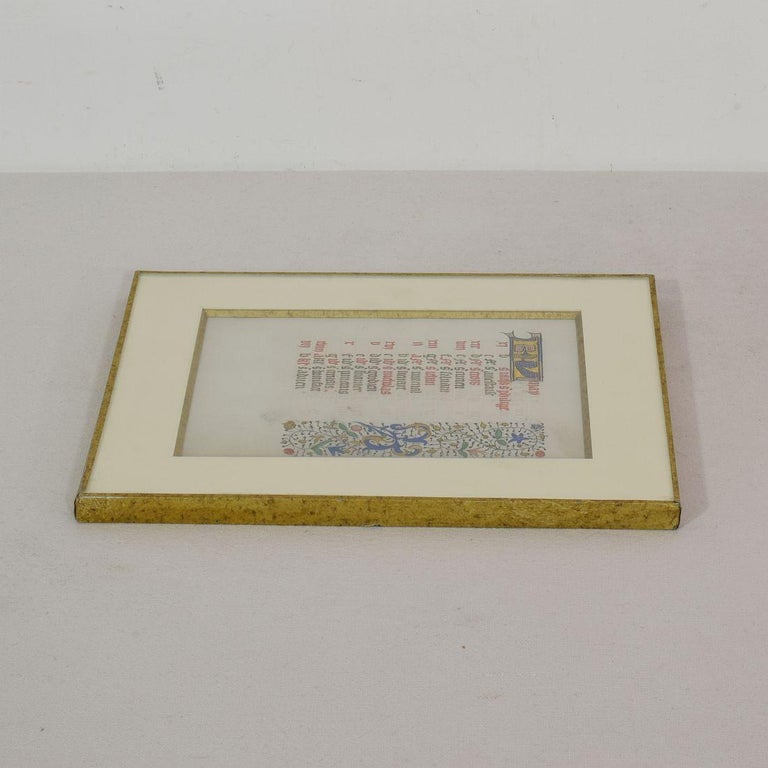 Small 15th Century Illuminated Vellum Book Page, Handwriting at 1stDibs