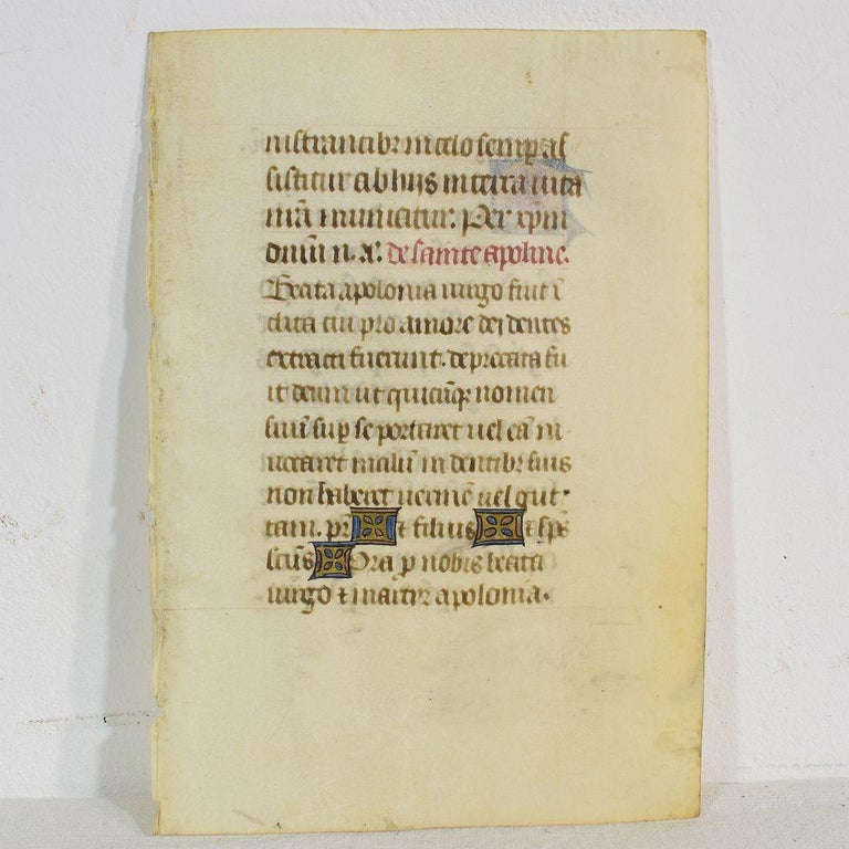 Small 15th Century Illuminated Vellum Book Page, Handwriting For Sale ...
