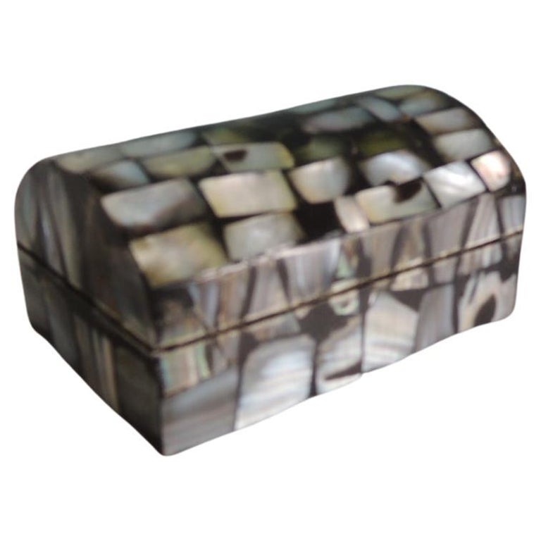 Small Abalone Shells Decorative Box For Sale at 1stDibs