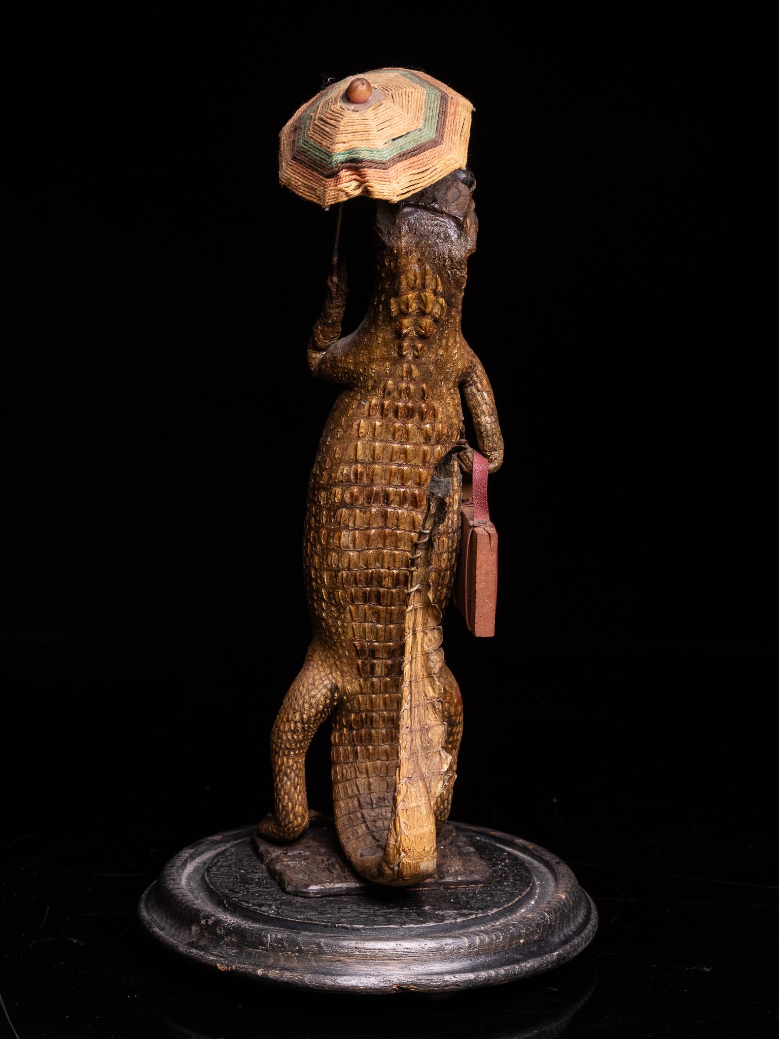 Small Alligator with Umbrella and Travel Case under a Bell Jar For Sale ...