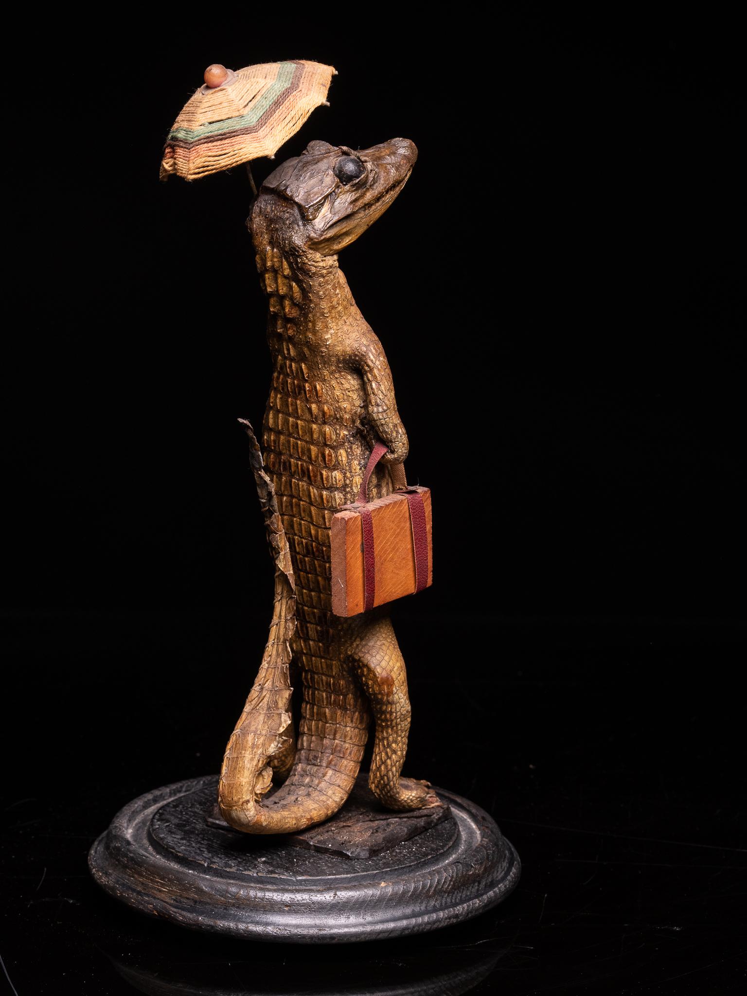 Small Alligator with Umbrella and Travel Case under a Bell Jar For Sale ...