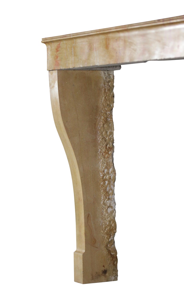 Small Chimney Piece Created by Nature for Eclectic Timeless Interiors ...