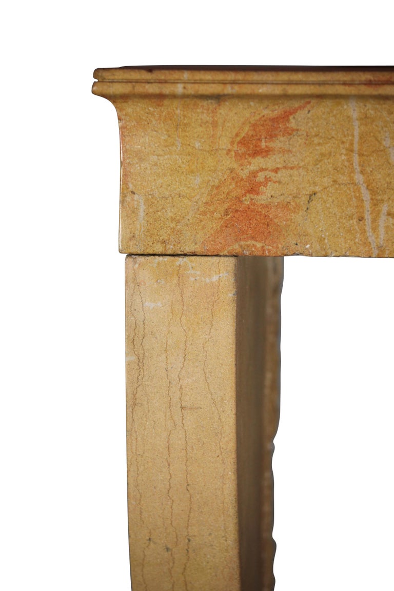 Small Chimney Piece Created by Nature for Eclectic Timeless Interiors ...