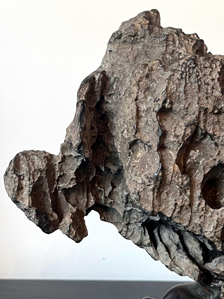 Small Chinese Scholar Rock Ying Stone on Display Stand at 1stDibs