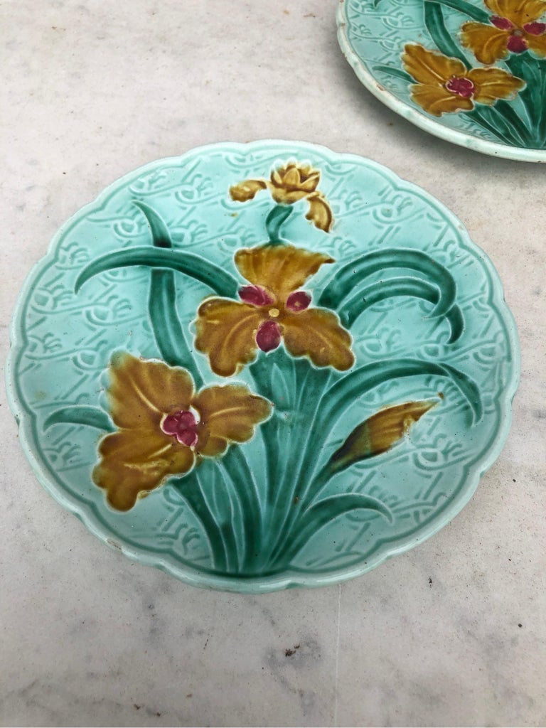 Deutscher Majolika-Iris-Teller aus Majolika, um 1900 im Angebot bei 1stDibs