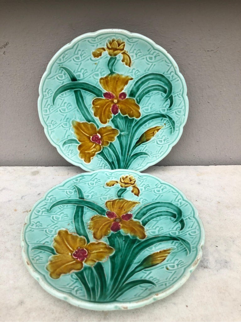 Deutscher Majolika-Iris-Teller aus Majolika, um 1900 im Angebot bei 1stDibs