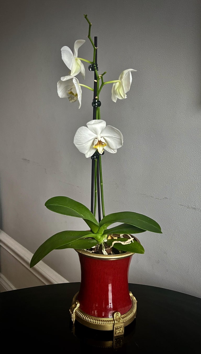 Small Gilt Bronze Mounted Chinese Flambé Glazed Porcelain Flower Pot ...