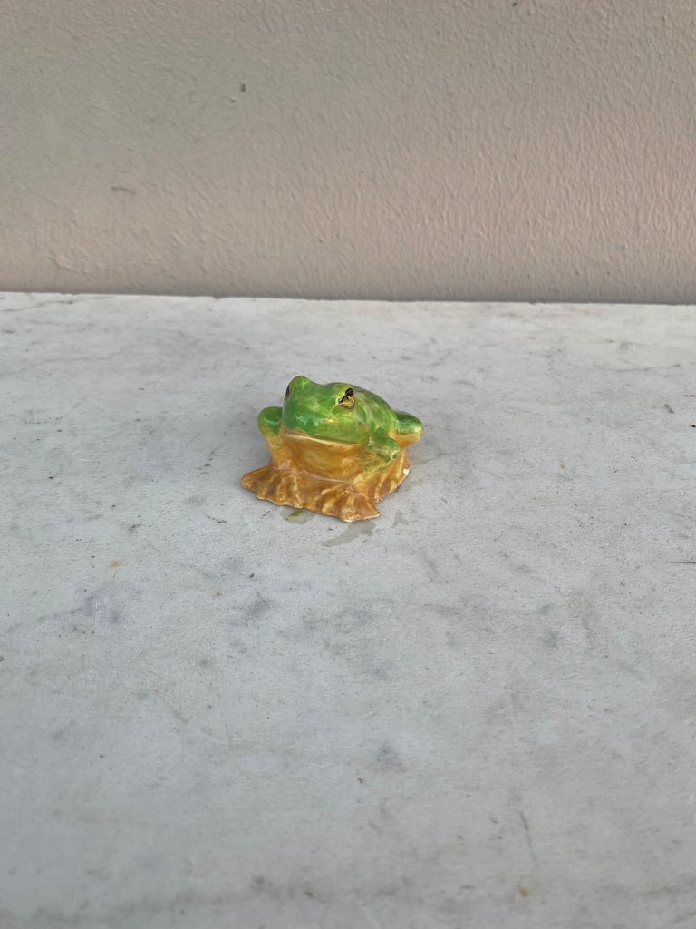 Small Majolica Frog Jerome Massier, circa 1900 For Sale at 1stDibs