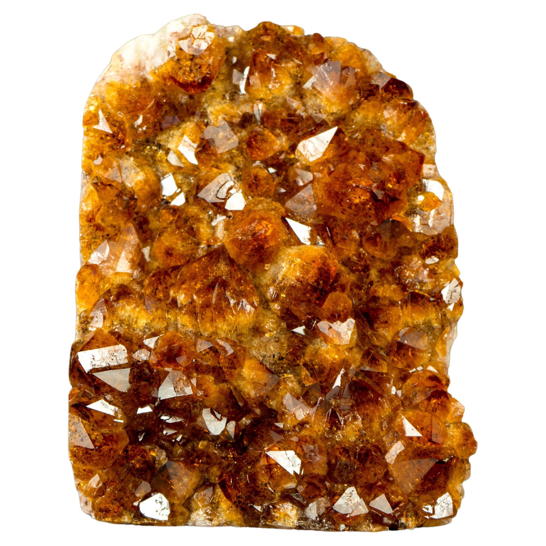 Gallery-Grade Agate Geode with Rare Goethite (AKA Cacoxenite) Flower ...