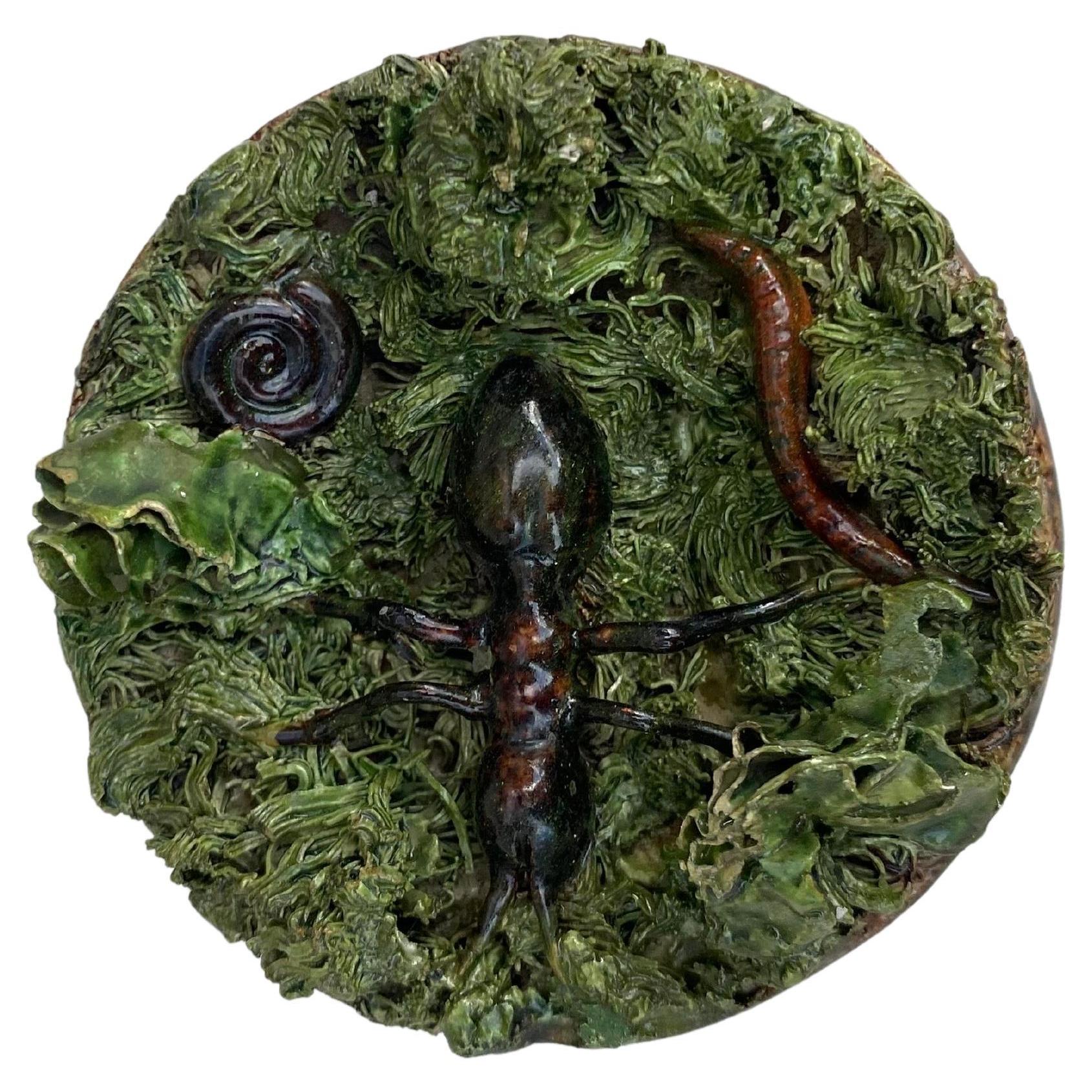 Small Portuguese Majolica Palissy Wall Ant Platter José Francisco De ...