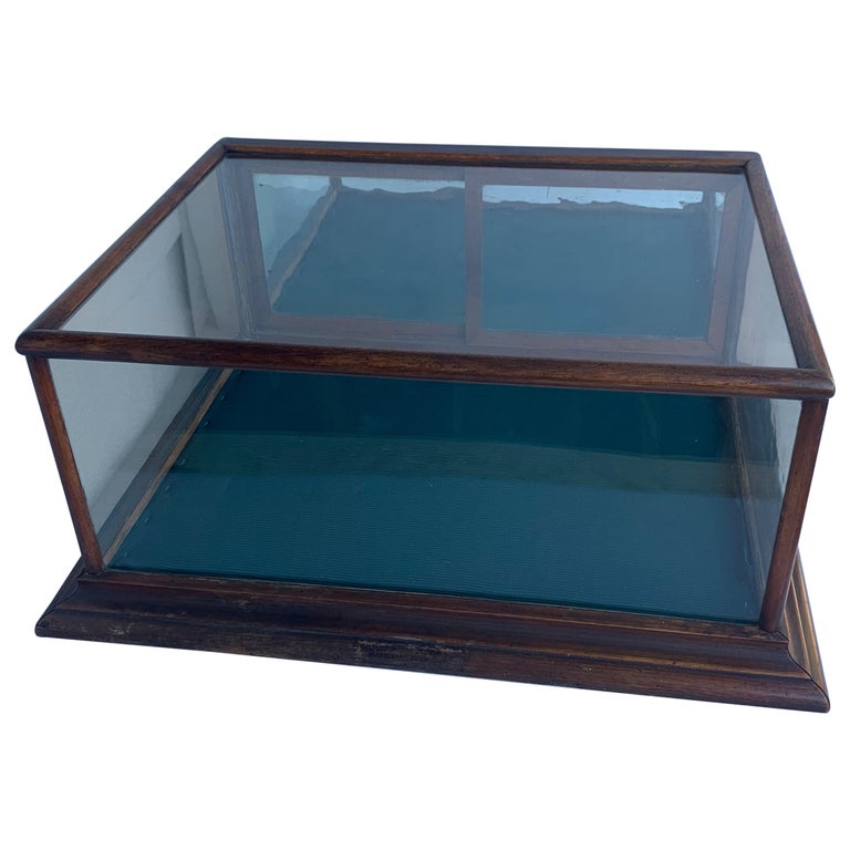 Small Rectangular Mahogany And Glass Table Display Case at 1stDibs