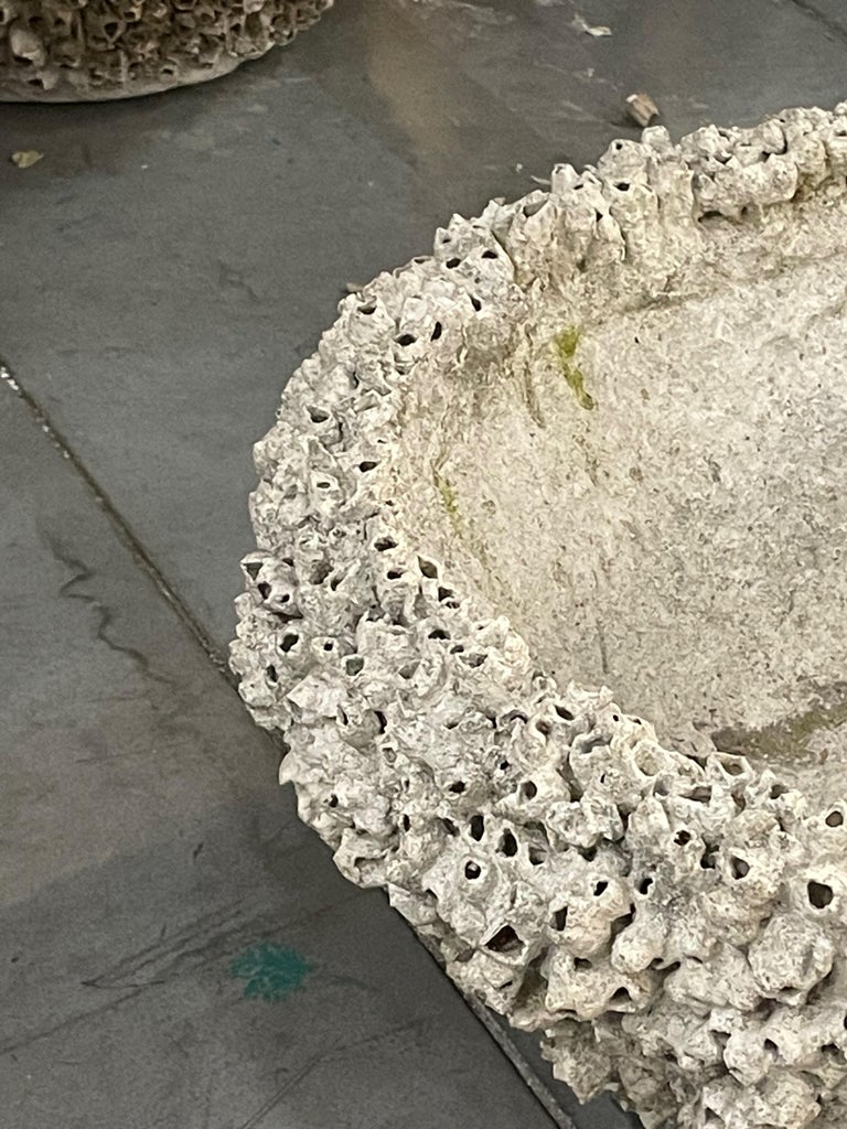 Snail Covered Classic Low Pot Shape Composition Stone Pot, Italy, 1950s ...