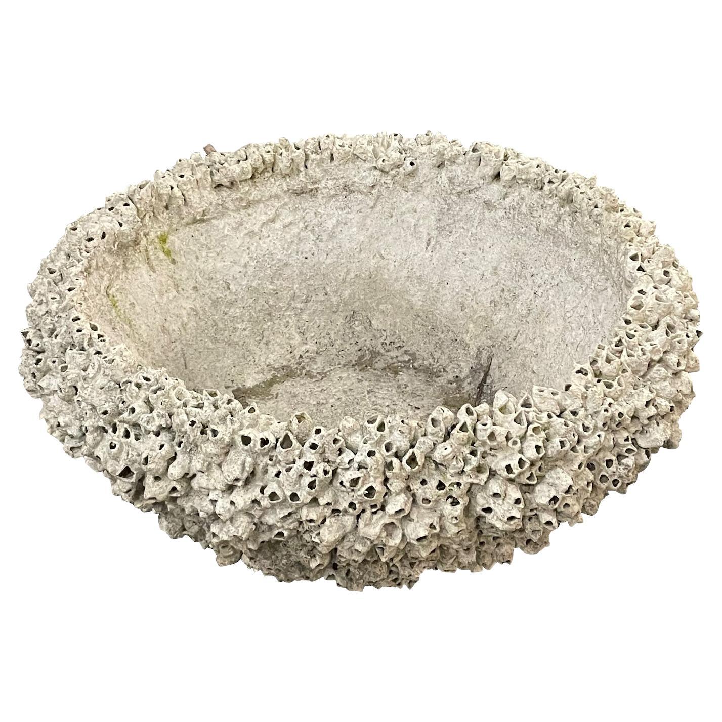 Snail Covered Composition Stone Pot, Italy, 1950s For Sale at 1stDibs