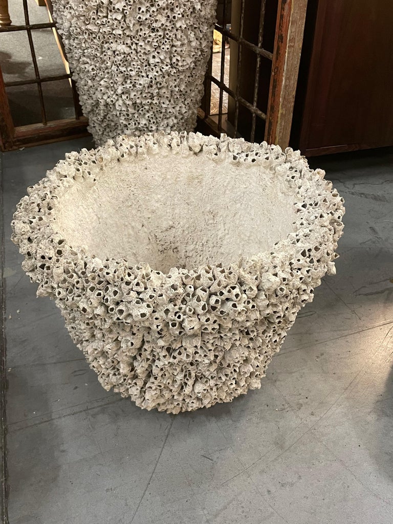 Snail Covered Classic Pot Shape Composition Stone Pot, Italy, 1950s For ...