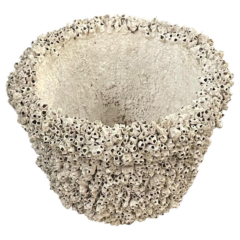 Snail Covered Classic Pot Shape Composition Stone Pot, Italy, 1950s For ...