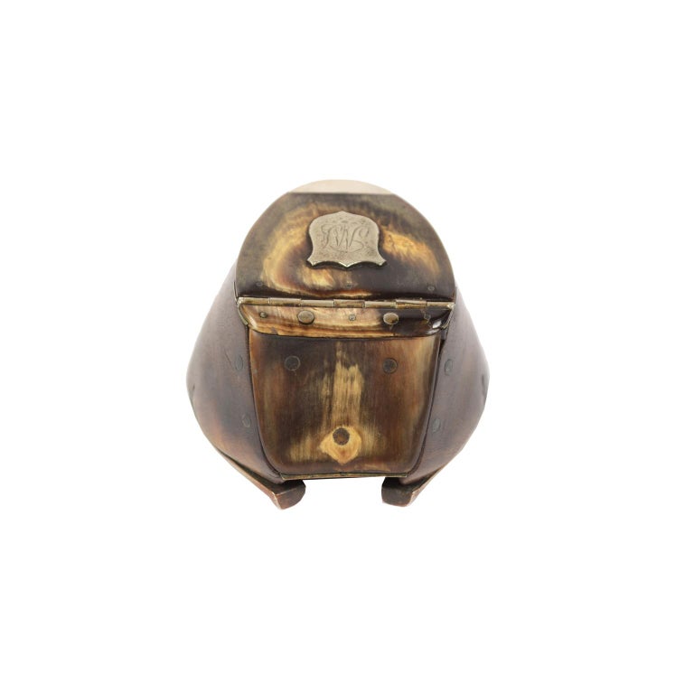 Late 19th Century antique Snuff Box Made in a Horse's Hoof with Horn ...