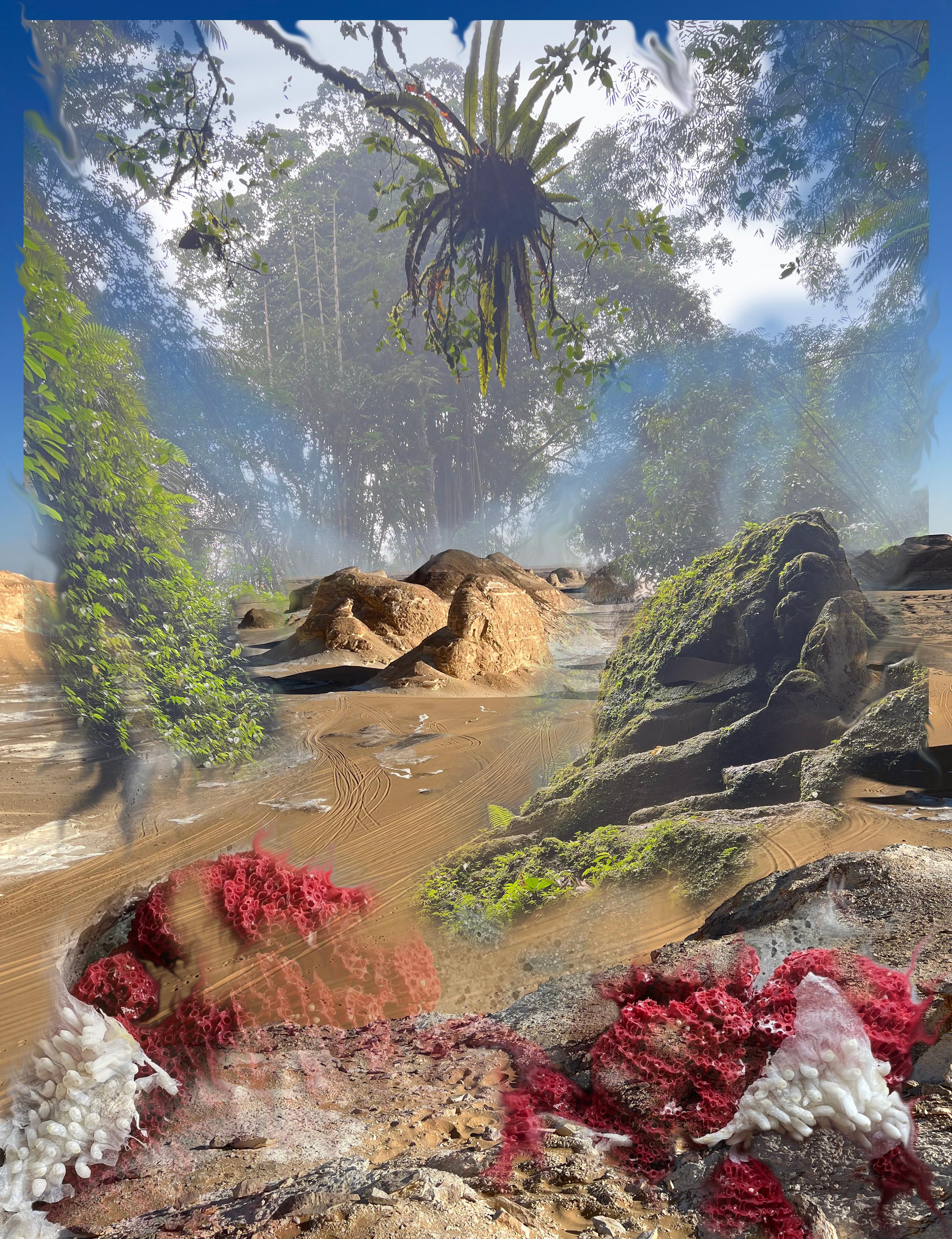 Susie Loucks - Low Tide For Sale at 1stDibs