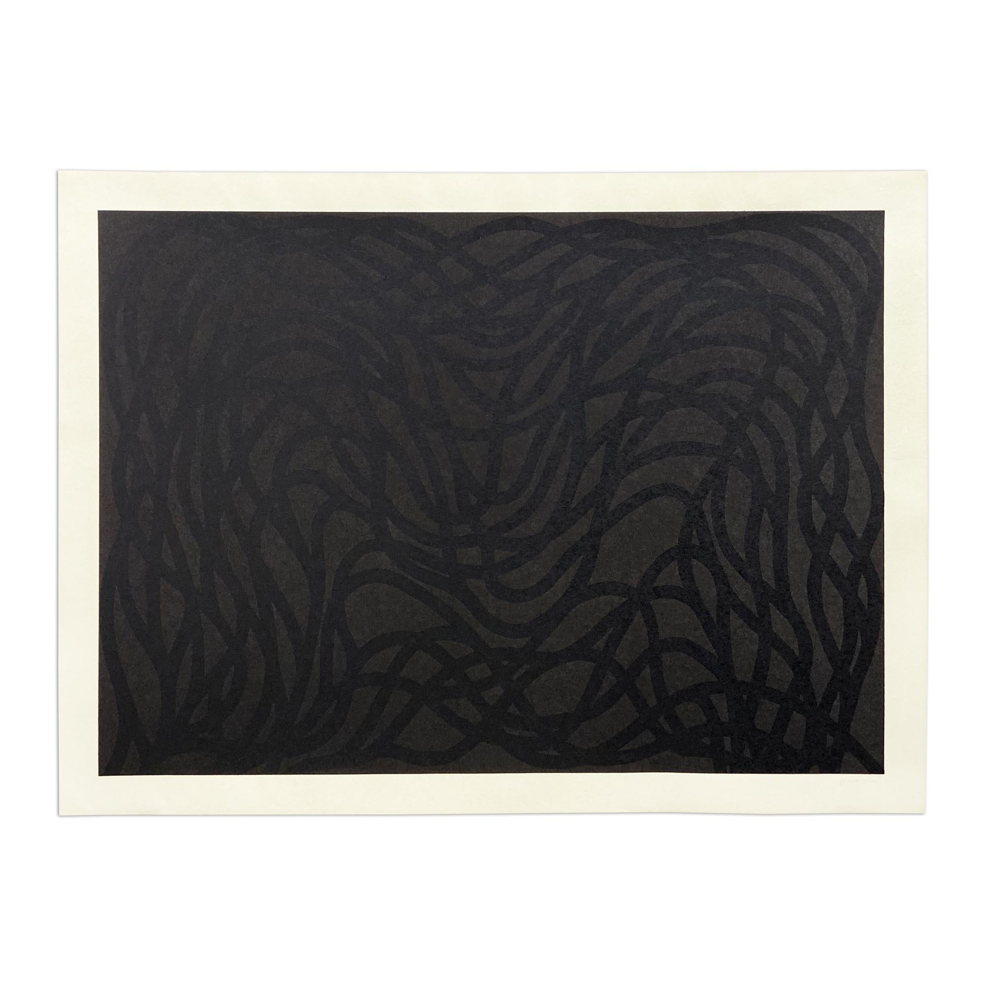 Sol LeWitt - Loopy Doopy (Black/Gray), Abstract Art, Conceptual Art ...