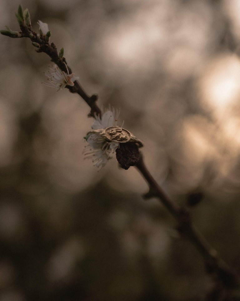 Solid 18 Carat Gold Rabbit Signet Ring by Lucy Stopes-Roe For Sale at ...