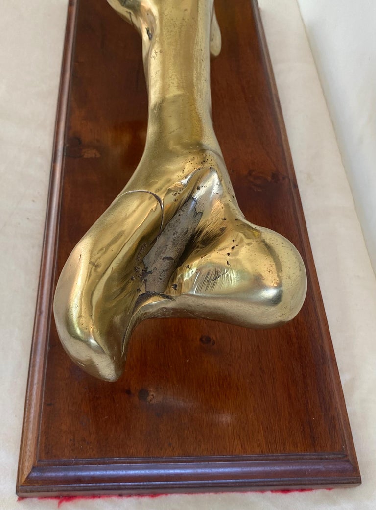 Solid Brass Bone Sculpture on a Wood Base For Sale at 1stDibs