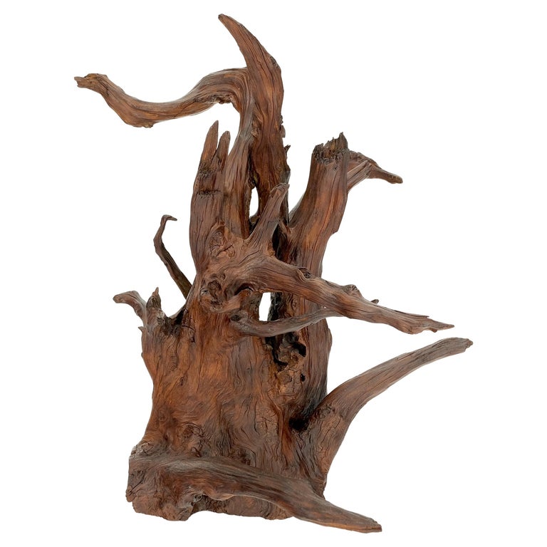 Solid Driftwood Root Sculpture Organic Jewerly Display Nice Patina and ...