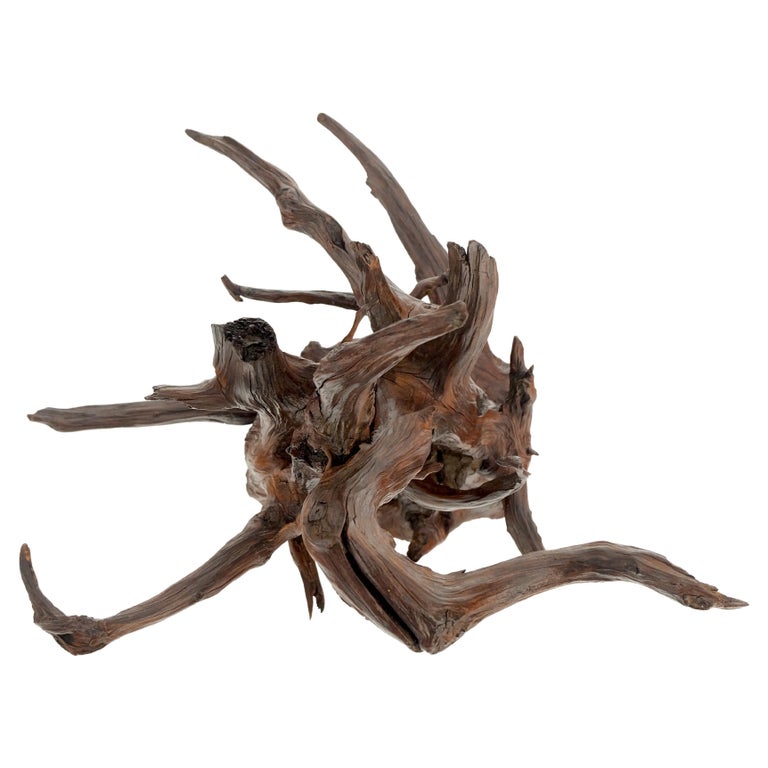 Solid Driftwood Root Sculpture Organic Jewerly Display Nice Patina and ...