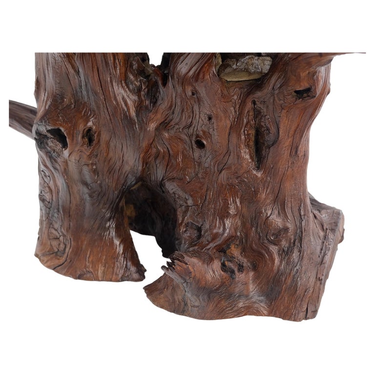 Solid Driftwood Root Sculpture Organic Jewerly Display Nice Patina and ...