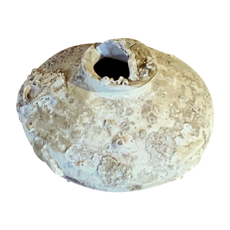 Barnacle Covered Song Dynasty Shipwrecked Vase, China, 15th Century For ...