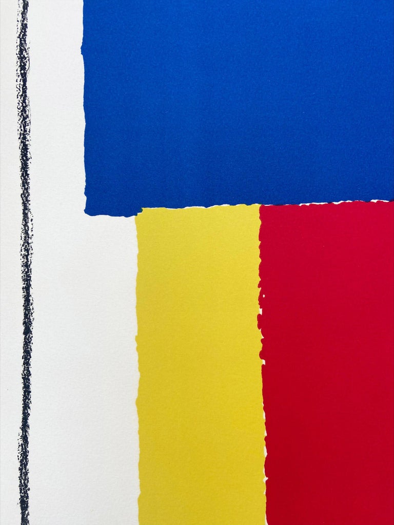 Sonia Delaunay - Sonia Delaunay - Colour Rhythm Lithography 1966 at 1stDibs