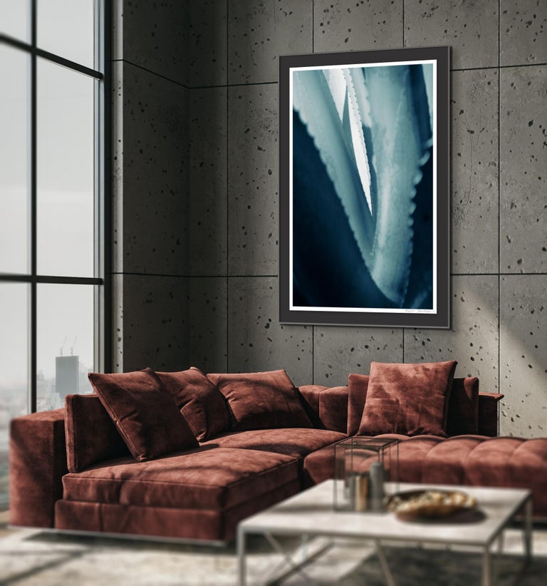 Sophia Milligan - 'Cicatrices 3' Large scale photo. Agave leaf, female ...