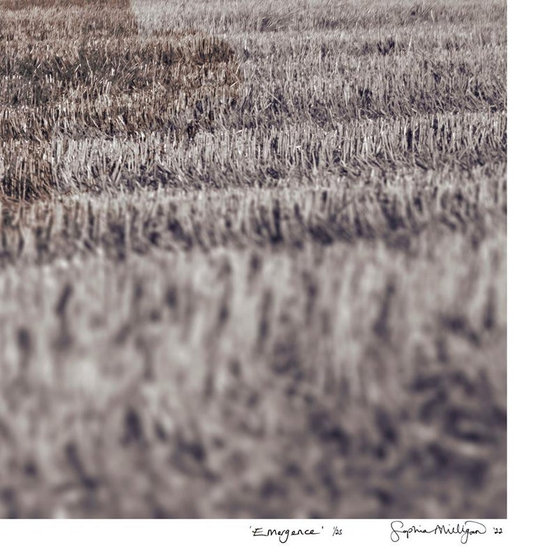 Sophia Milligan - 'Emergence' Photo collage. Woman, Female, Dancer ...