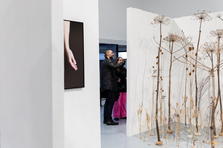 Sophie de Vos - One and the same For Sale at 1stDibs